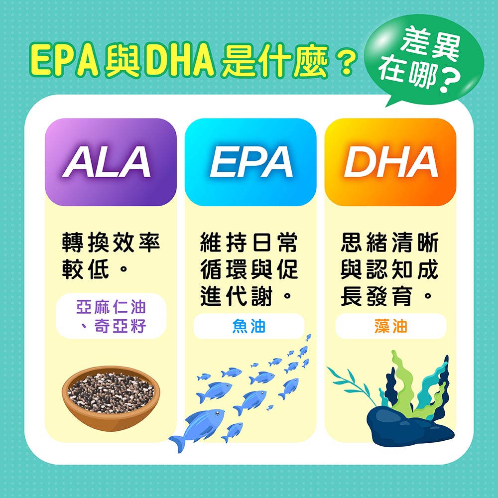 魚油和藻油怎麼選？一次搞懂Omega-3、EPA、DHA｜BabyLike | 媽咪拜MamiBuy