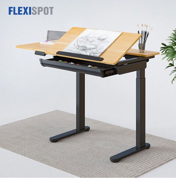 2025 Flexispot 電動升降桌挑選指南：完整解析單雙馬達差異 / 二三節 / 電動氣壓 | BEARBOSS熊老闆精選店