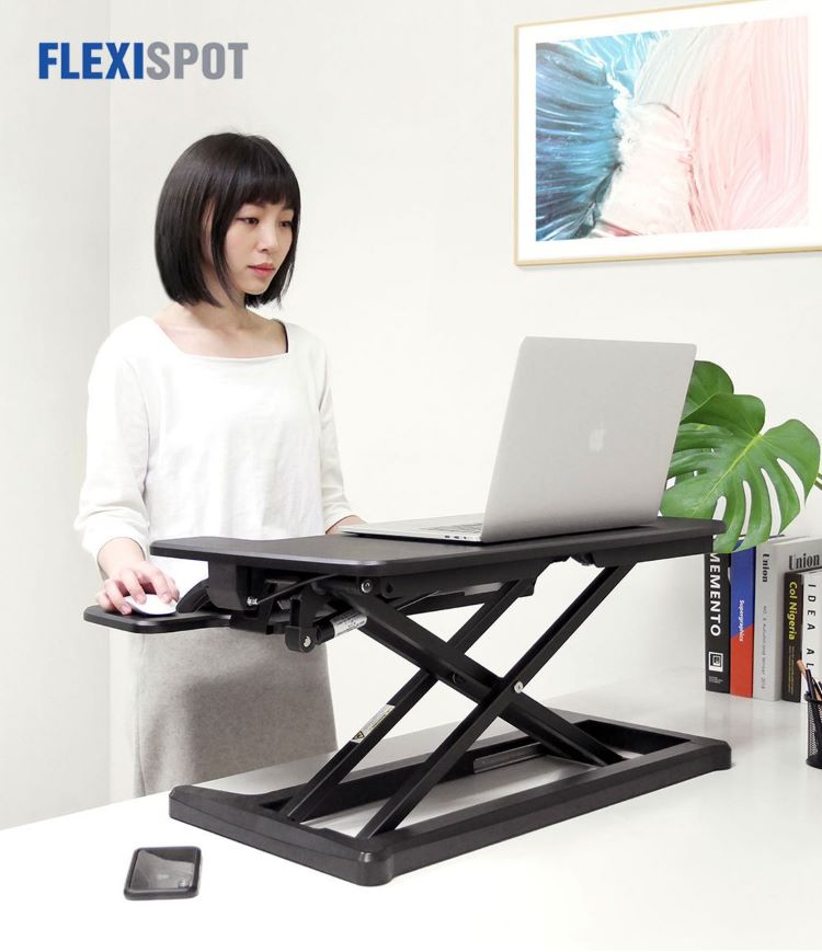 2025 Flexispot 電動升降桌挑選指南：完整解析單雙馬達差異 / 二三節 / 電動氣壓 | BEARBOSS熊老闆精選店