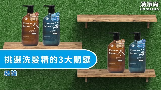 油頭、癢頭皮?4招挑對適合你的洗髮精 2025最新挑選攻略 | 清淨海-天然環保專家