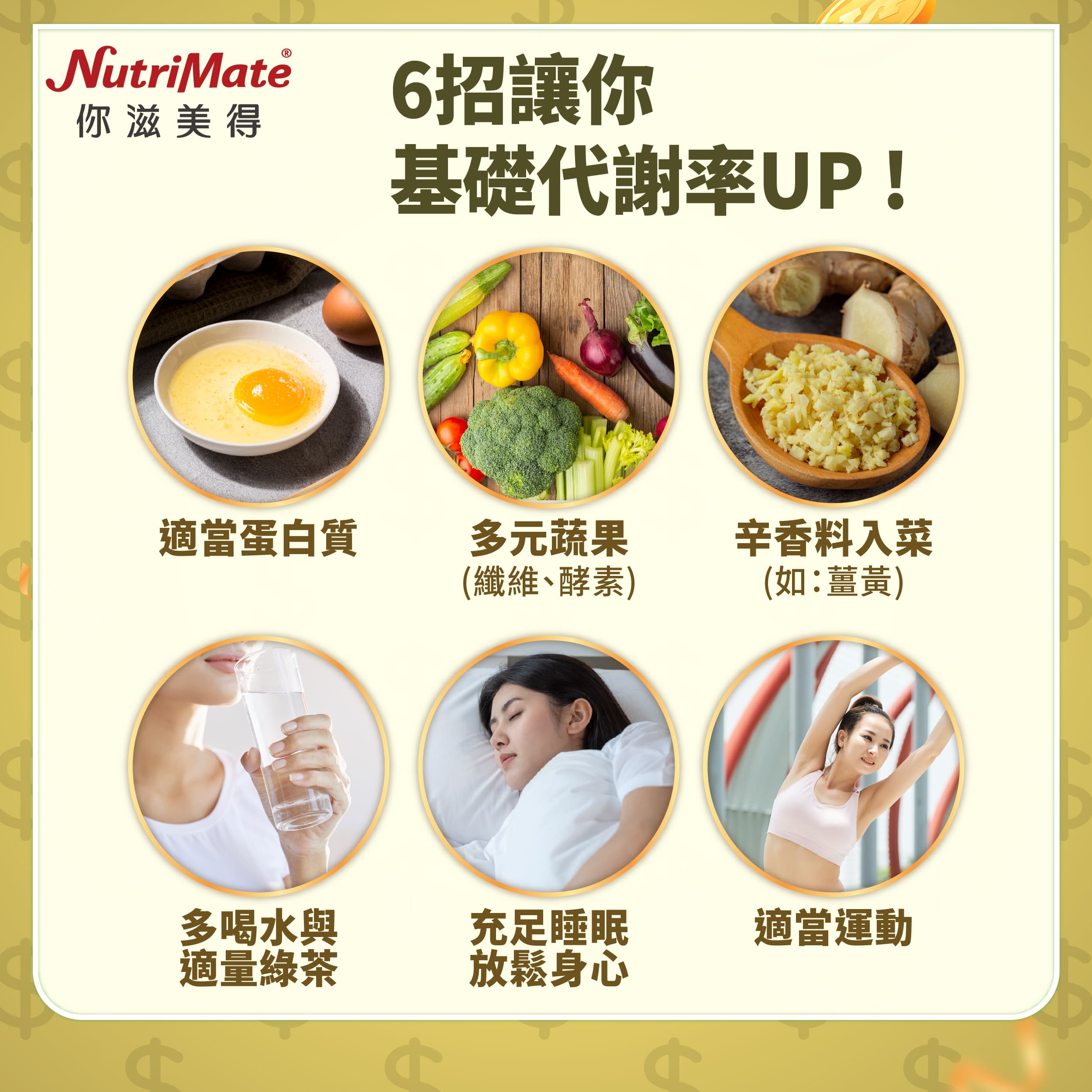 日夜24小時不間斷的代謝投資術：打造你的健康複利人生！ | 你滋美得NutriMate