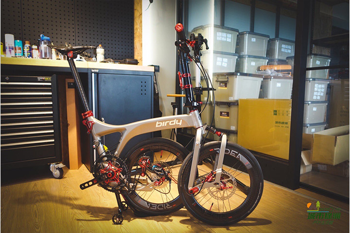 [RIDEA]小輪組大視覺🧐 | 城市綠洲