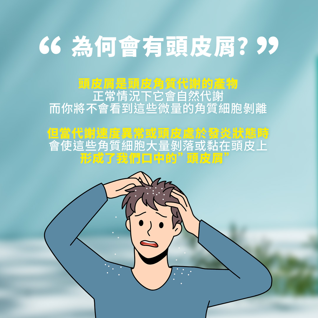 為甚麼會有頭皮屑？頭皮屑又該怎麼分類呢？ #b編養髮學堂 | basiik官方旗艦店