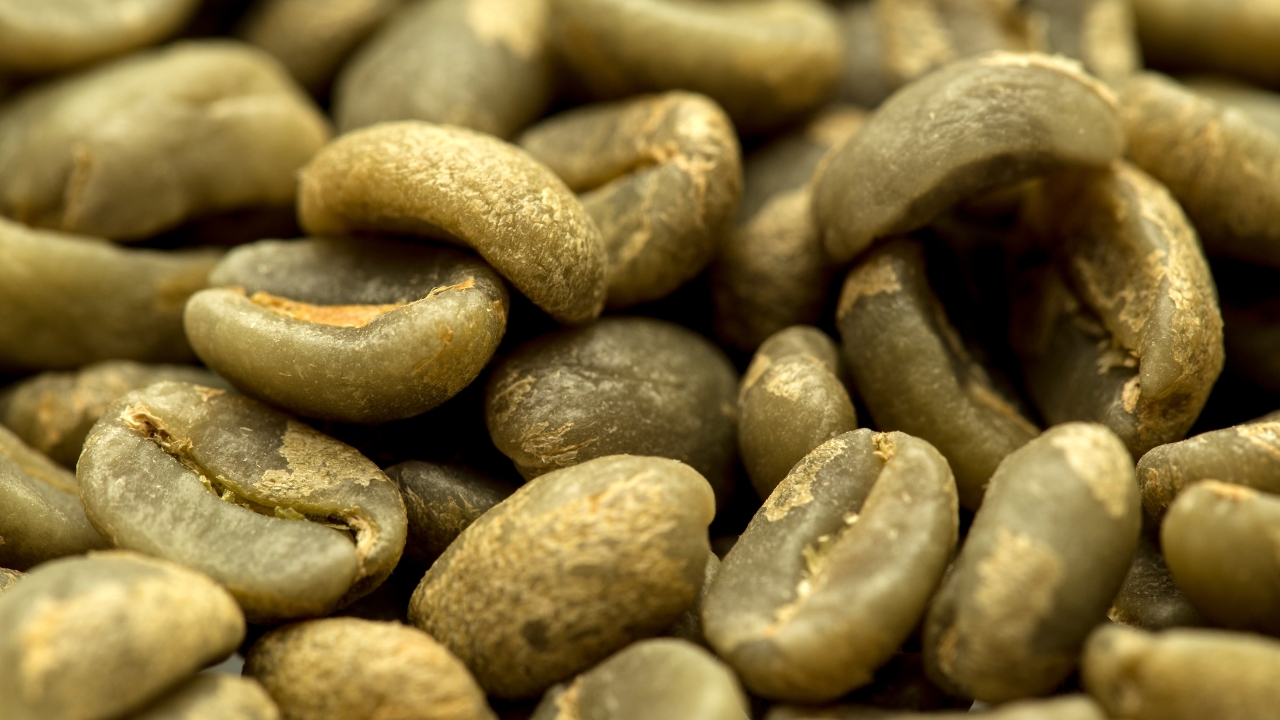 肯亞冽里卡莫伊尼 AA TOP：火山高地水洗珍品 | InsingerKaffee 硬性格咖啡