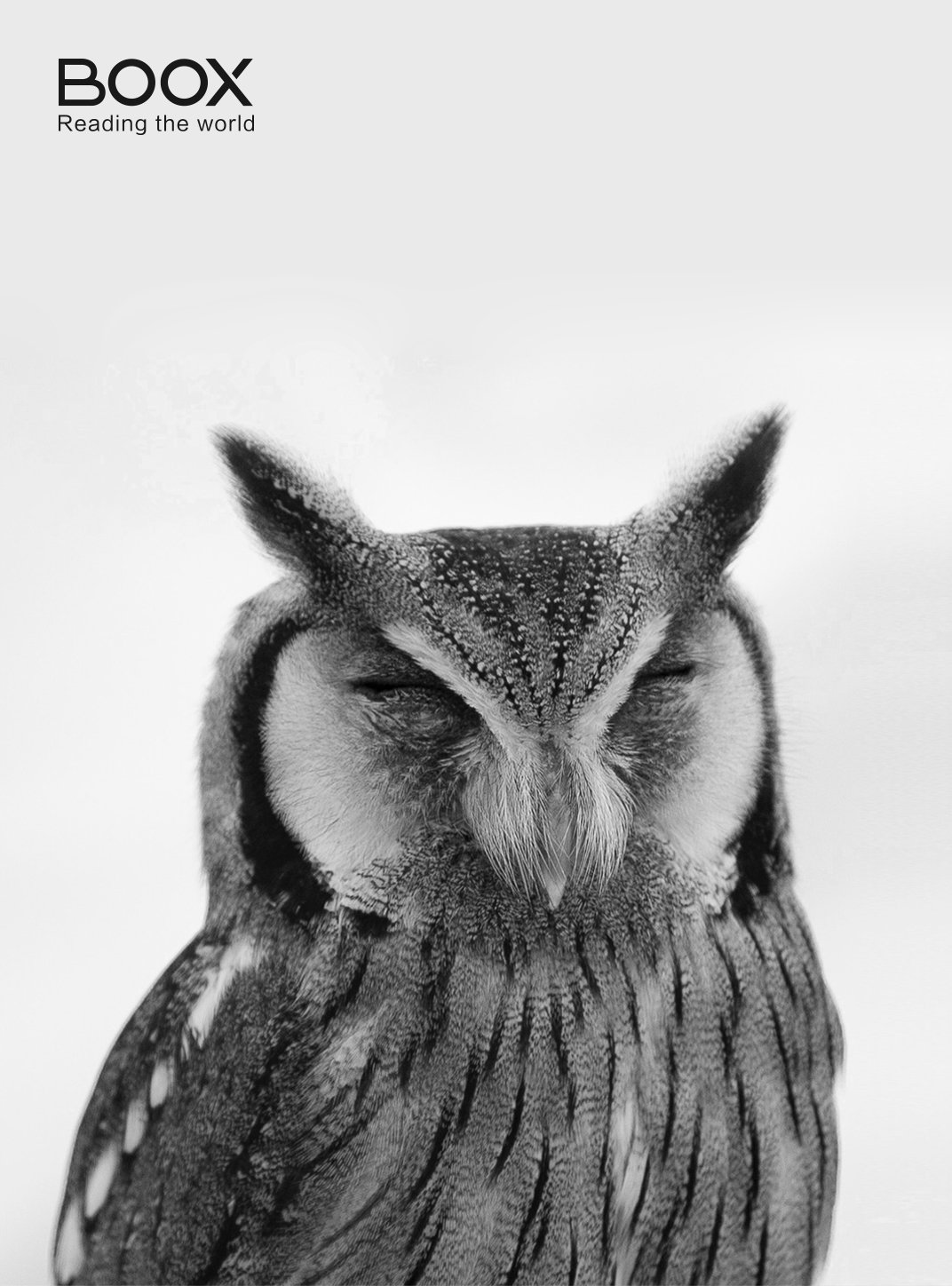 【收藏】一大波好看的 BOOX 閱讀器螢幕保護來襲！你最喜歡哪一張桌布？ | BEARBOSS熊老闆精選店