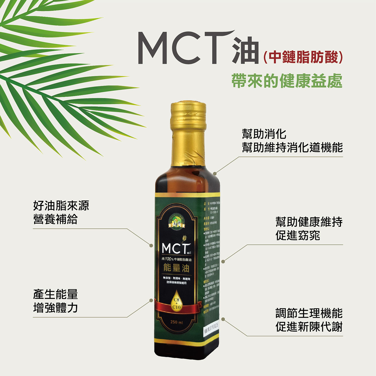 椰子油 v.s. MCT油，功效是什麼? 哪裡買? 有副作用嗎? | 肯寶KB99官方商城