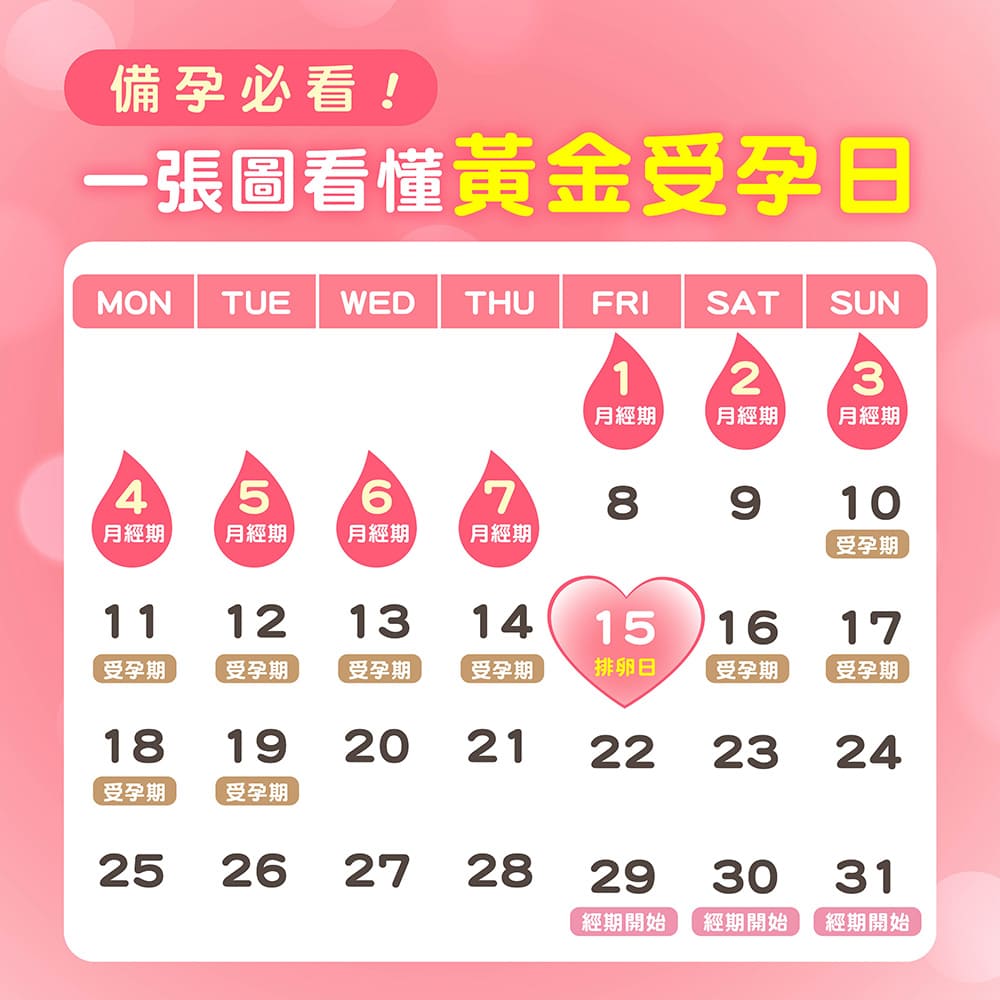 備孕攻略，飲食要注意什麼？計算前5後3「黃金受孕日」｜BabyLike | 媽咪拜MamiBuy