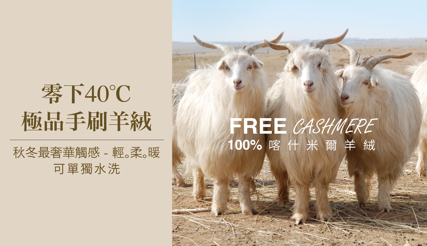 CASHMERE | FREE 輝盟
