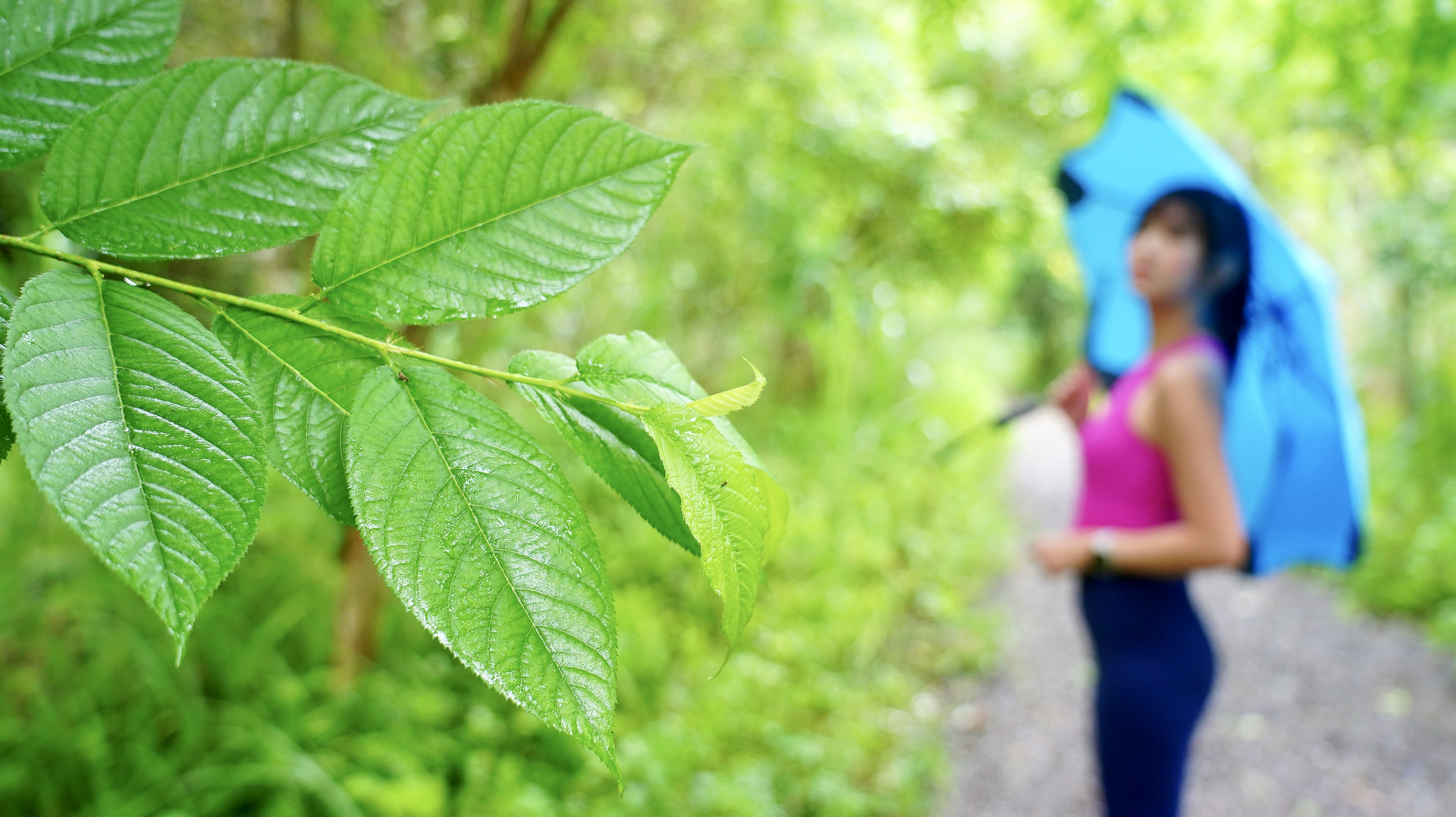 紐西蘭Blunt防風精品傘，非凡電視台財經主播開箱！ | INDULGENCE