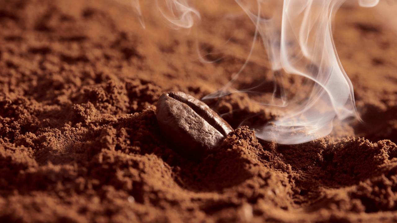 肯亞 墨蘭戰神 AA - 雪松可可與莓果交織的非洲珍寶 | InsingerKaffee 硬性格咖啡