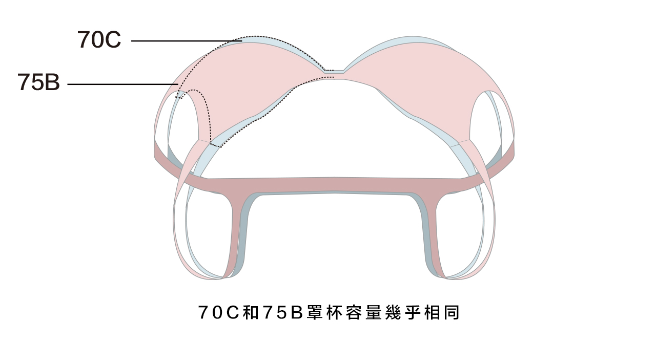 罩杯怎麼換算？內衣尺寸怎麼測量？一篇網羅挑內衣必備觀念 - Qmomo