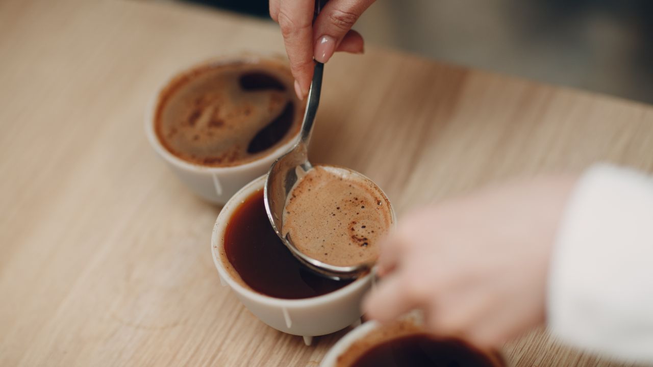 哥倫比亞 安蒂奧基亞 露易莎莊園 水果蜜處理 | INSINGER 精品咖啡 | InsingerKaffee 硬性格咖啡